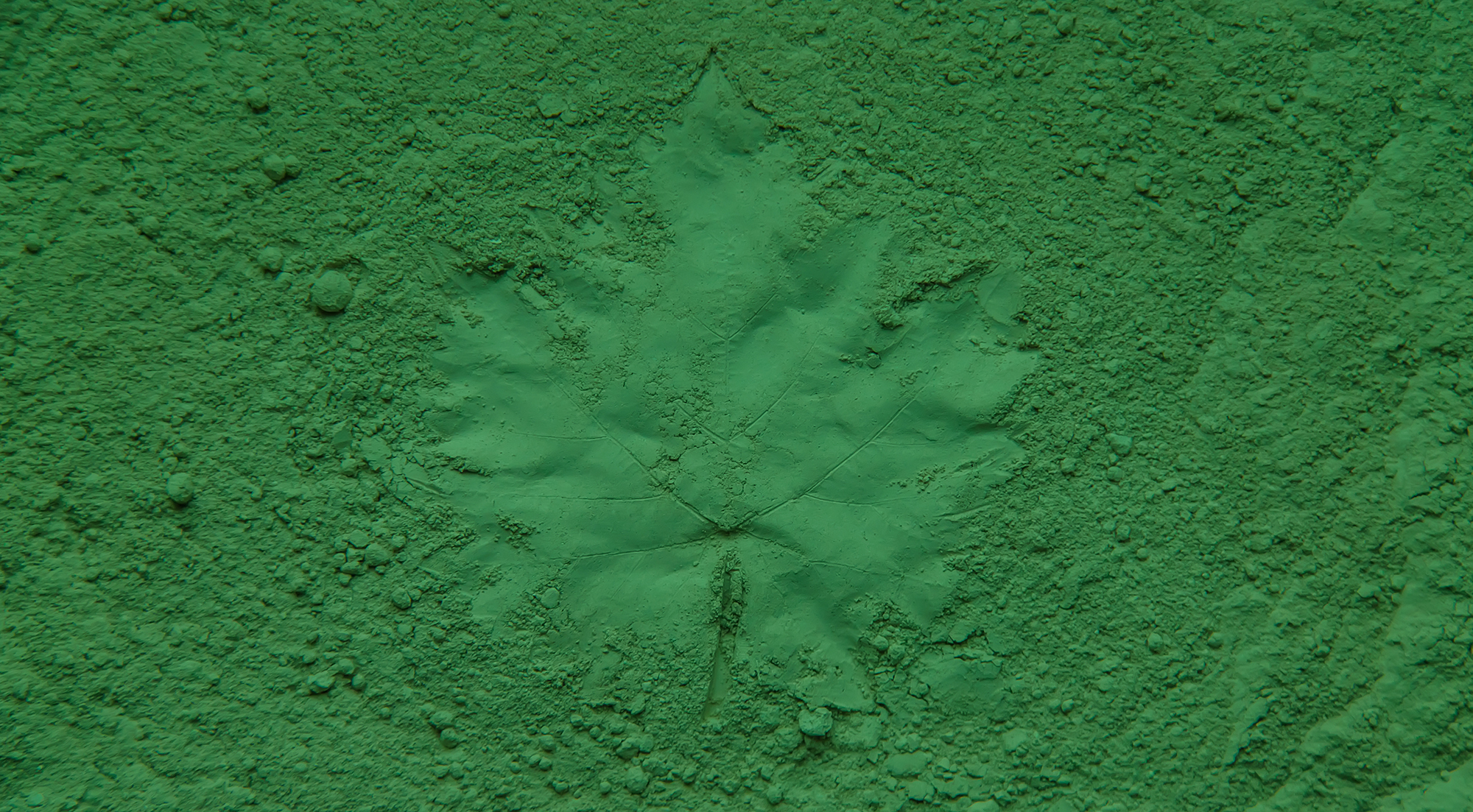 What you need to know about the Product Environmental Footprint